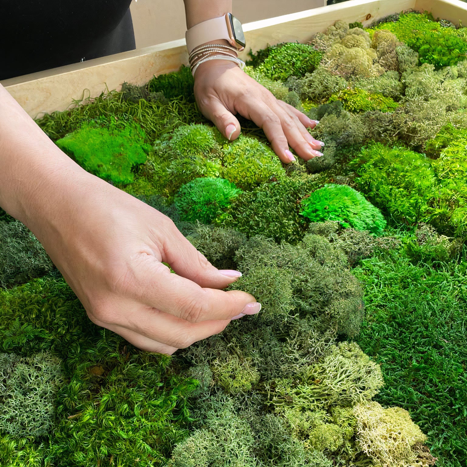 What is a Moss Wall? And How It Can Change Your Indoor Space – My Store